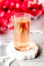 Homemade Coconut Syrup - coffeecopycat.com