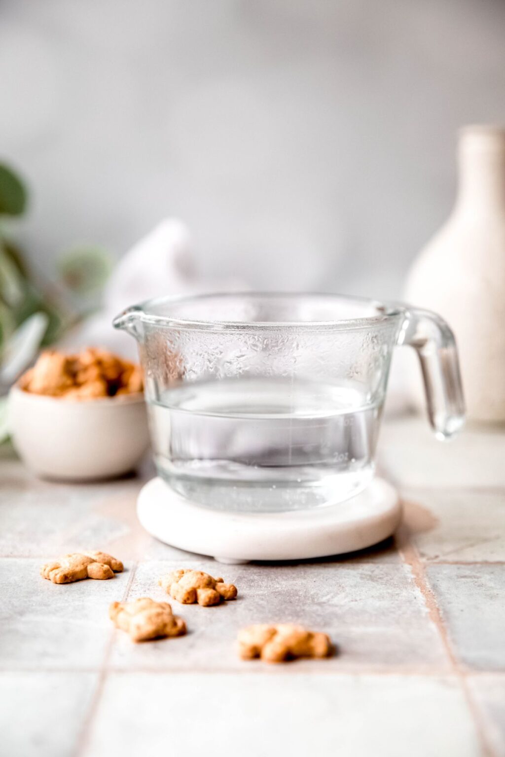 Iced Teddy Graham Latte (with Instant Espresso) - coffeecopycat.com
