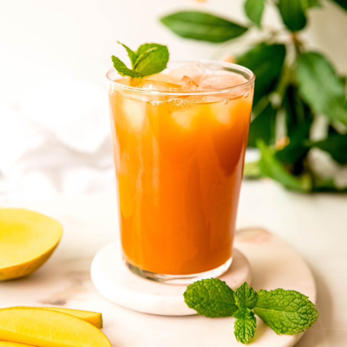 17+ Iced Tea Recipes - coffeecopycat.com
