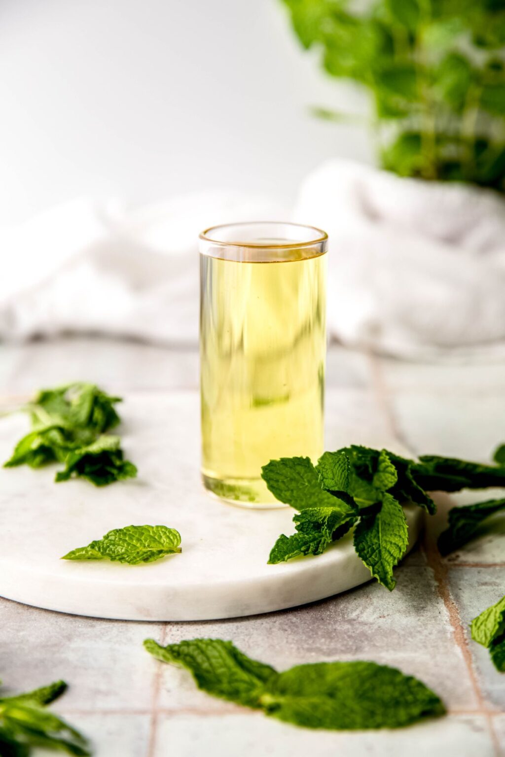 Homemade Mint Simple Syrup - coffeecopycat.com
